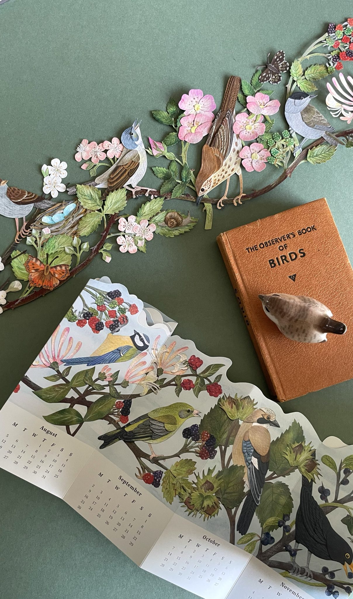 Hedgerow Birds – Alice Melvin