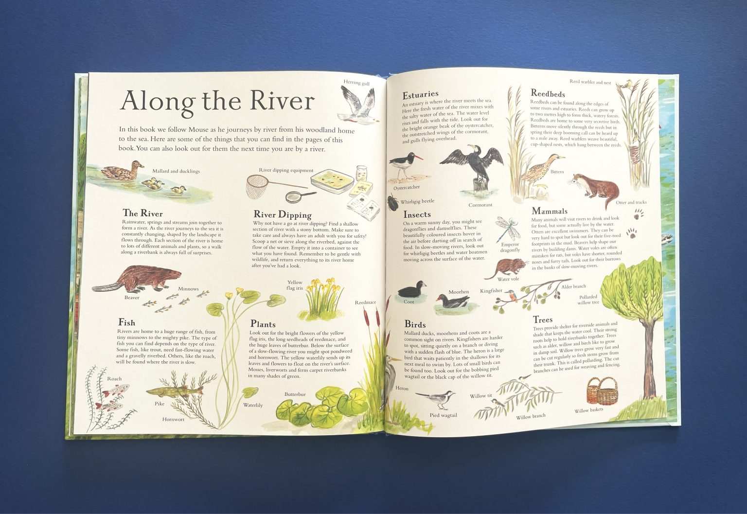 Mouse on the River – Alice Melvin